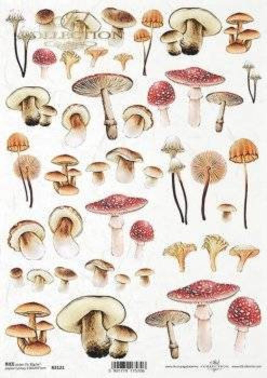Rice Paper For Decoupage Single A4 Sheet Autumn Toadstools Decoupage