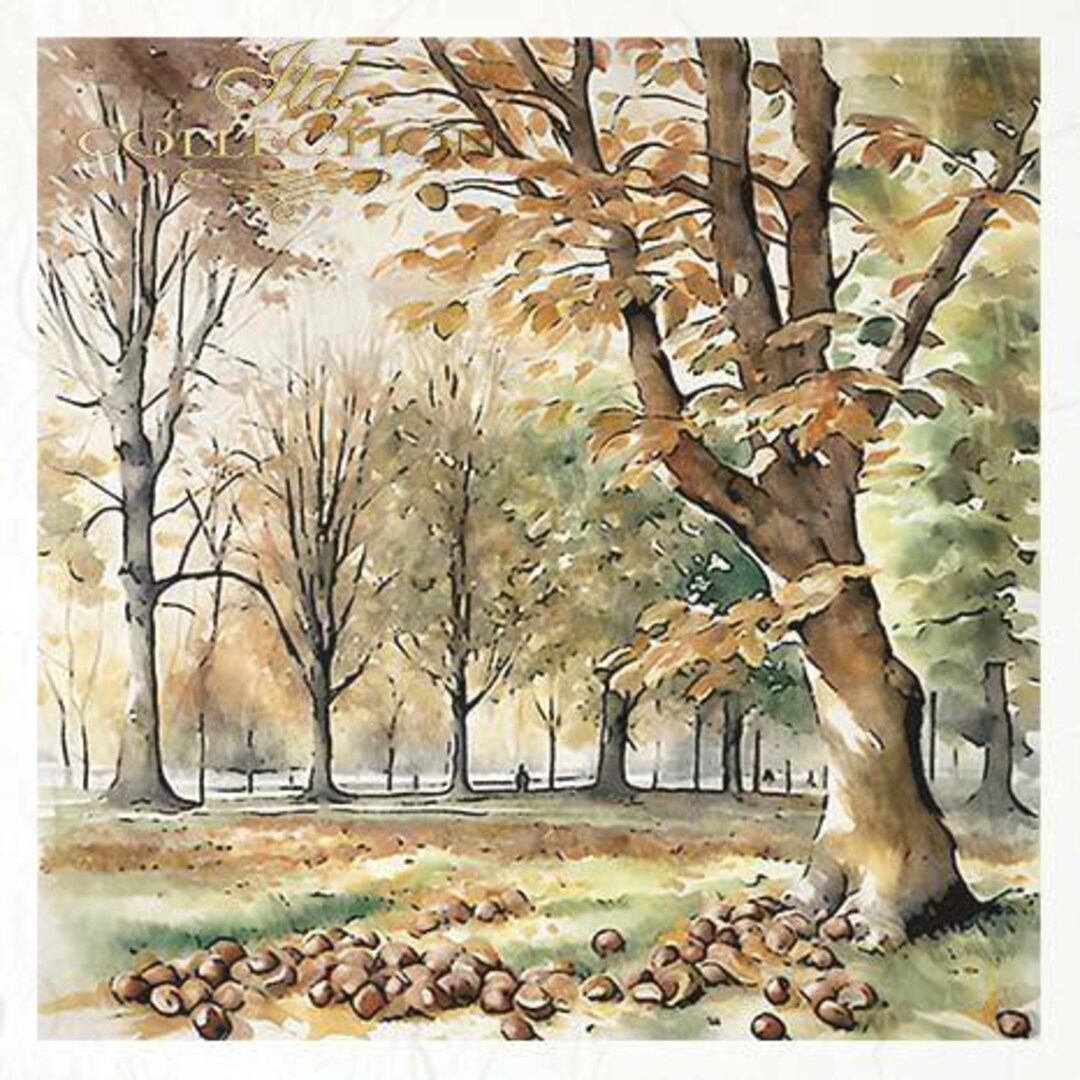 Mini Rice Paper, Single Sheet of Rice Paper, Autumnal Park Benches ...