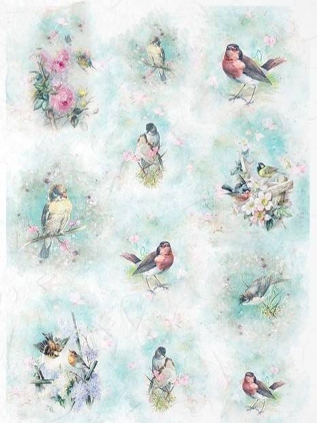 Rice Paper for Decoupage A4 Sheet 11 Pretty Bird Images Decoupage ...