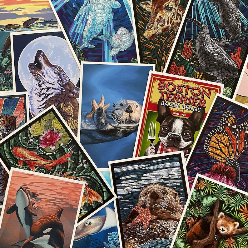 Custom Lantern Press Postcard Bundles - Etsy