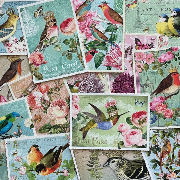 Bird Postcards - Etsy