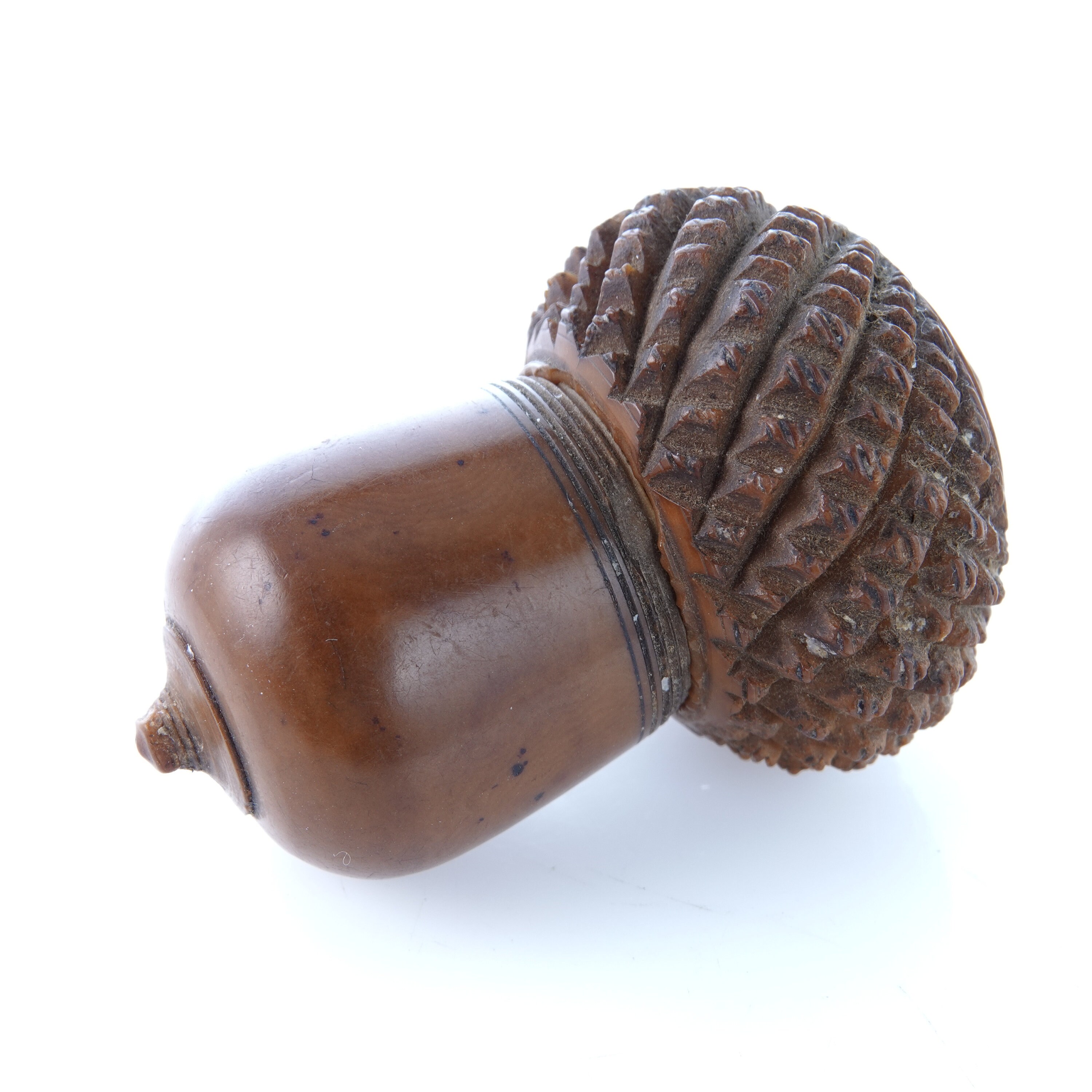 C1850 Carved Coquilla Nut Treenware Acorn Shaped Box - Etsy UK