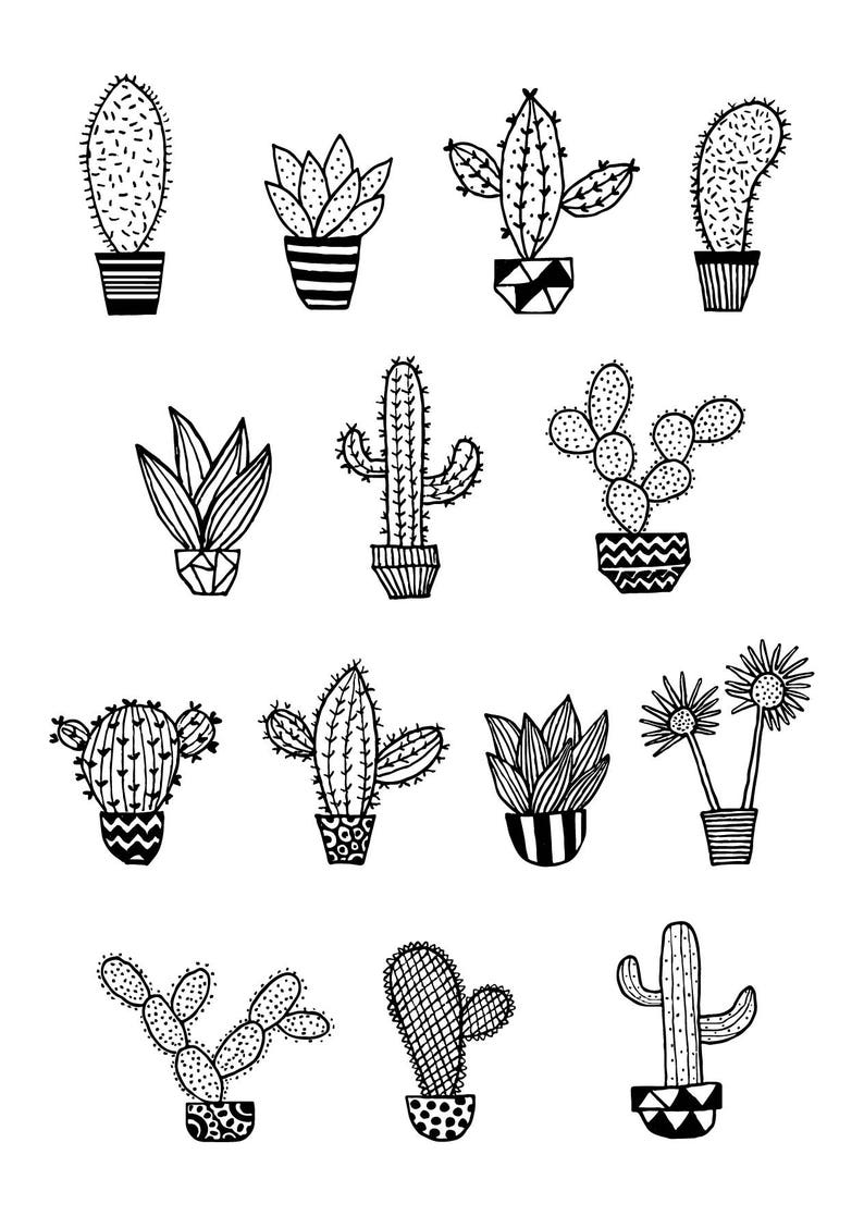 Black and White Cactus Printable. Succulent Plants. Monochrome ...