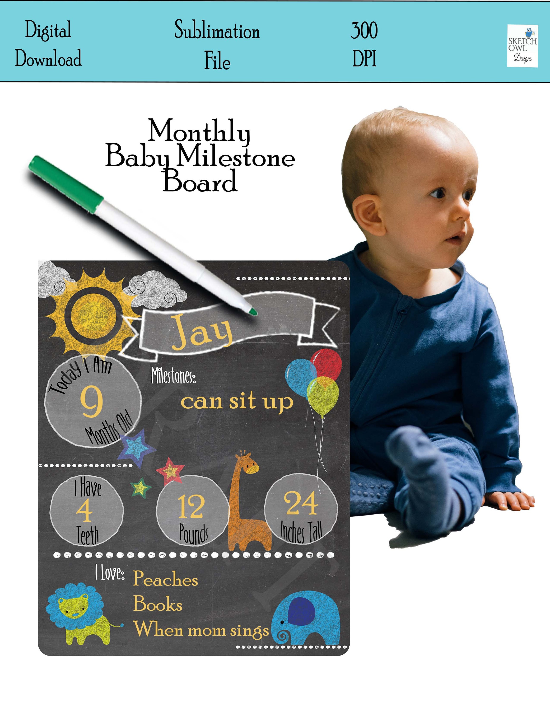 Monthly Baby Milestone Board Design Milestone Chalkboard | Etsy