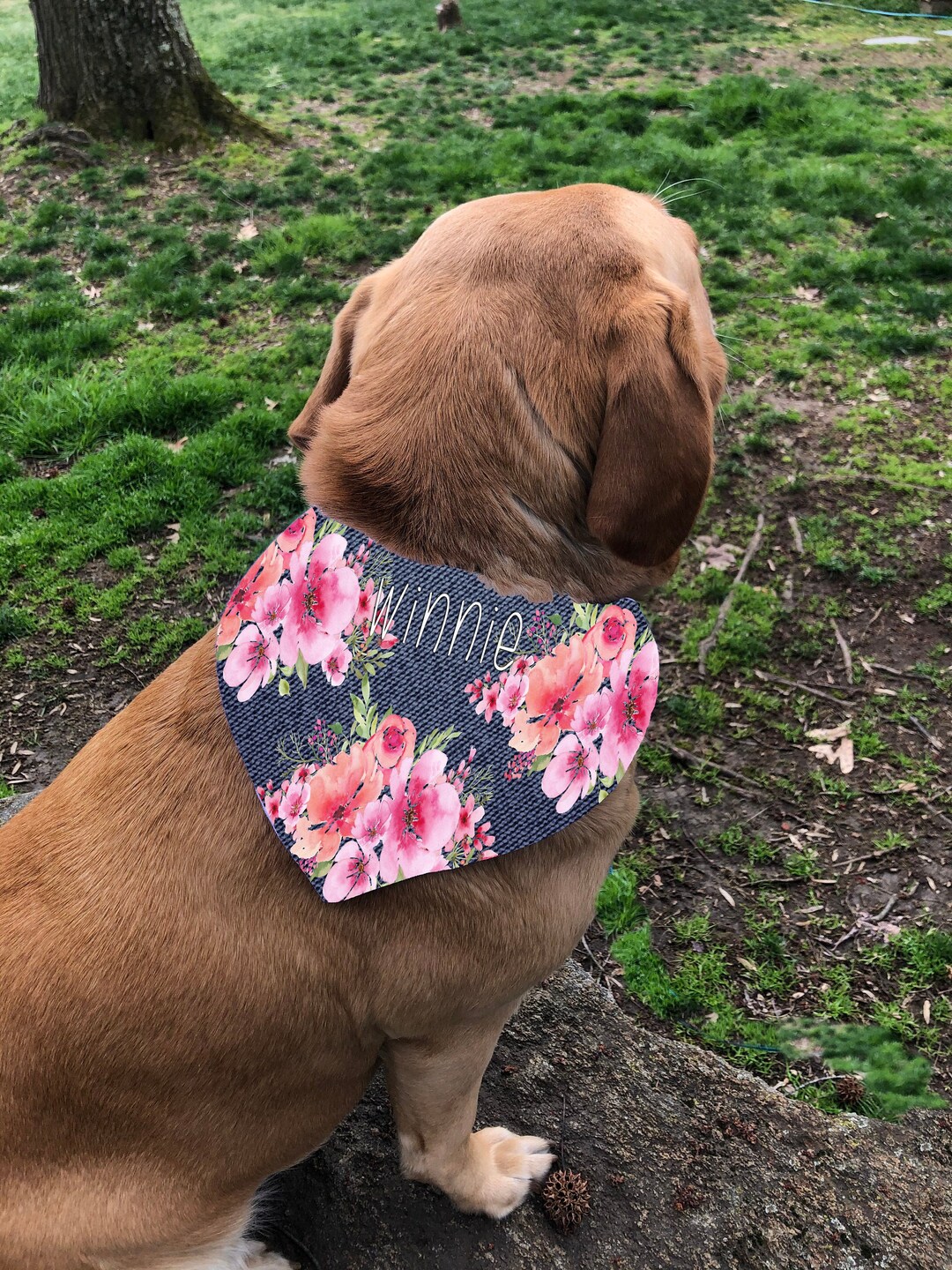 Pet Scarf Design Denim Look With Pink Flowers Sublimation Digital ...