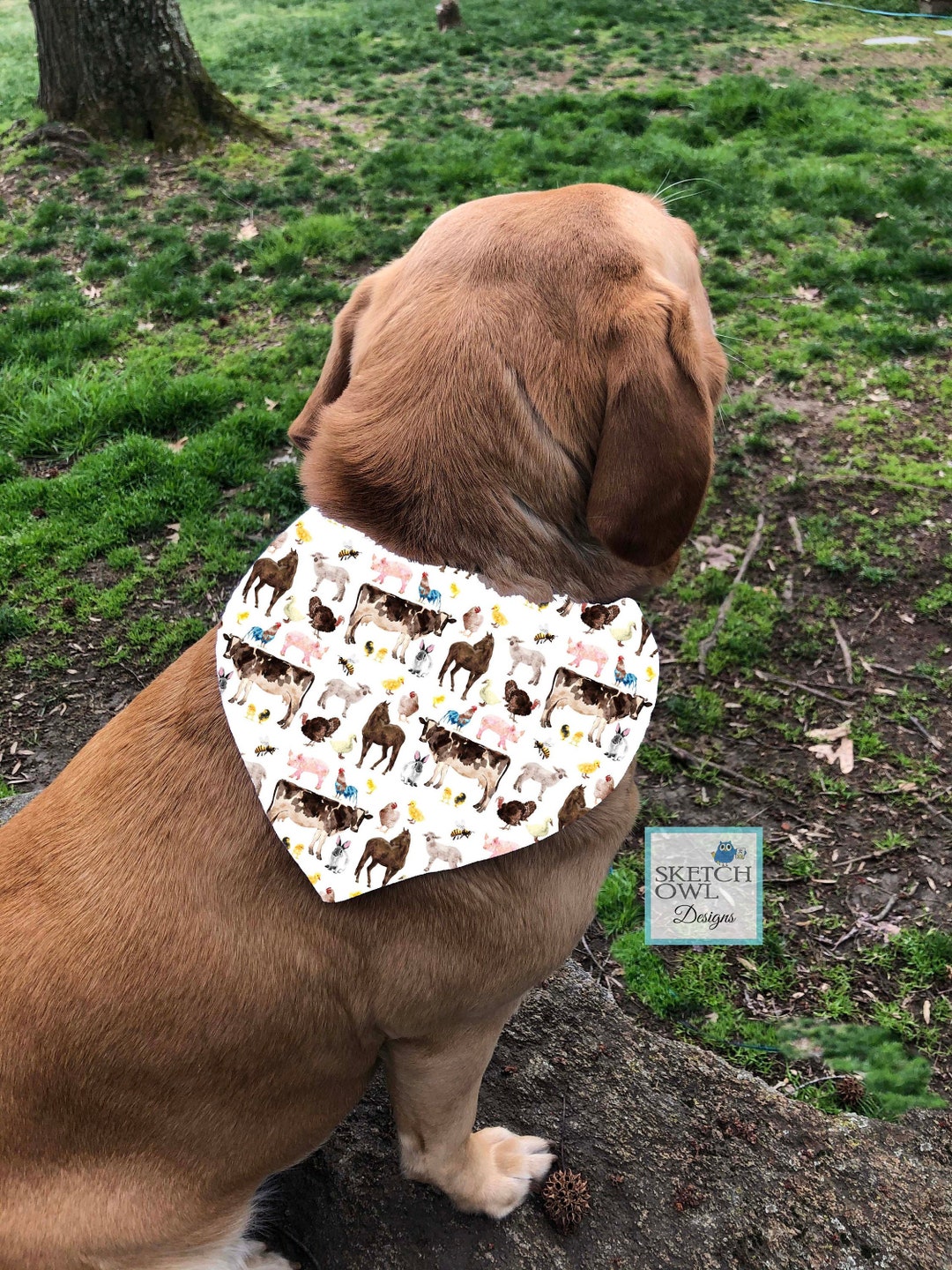 Pet Scarf Design With Farm Animals Sublimation Digital Download PNG - Etsy