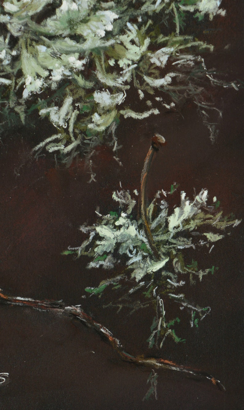 An Original Drawing Depicting Natural Lichen Moss in Soft Pastel Colors ...