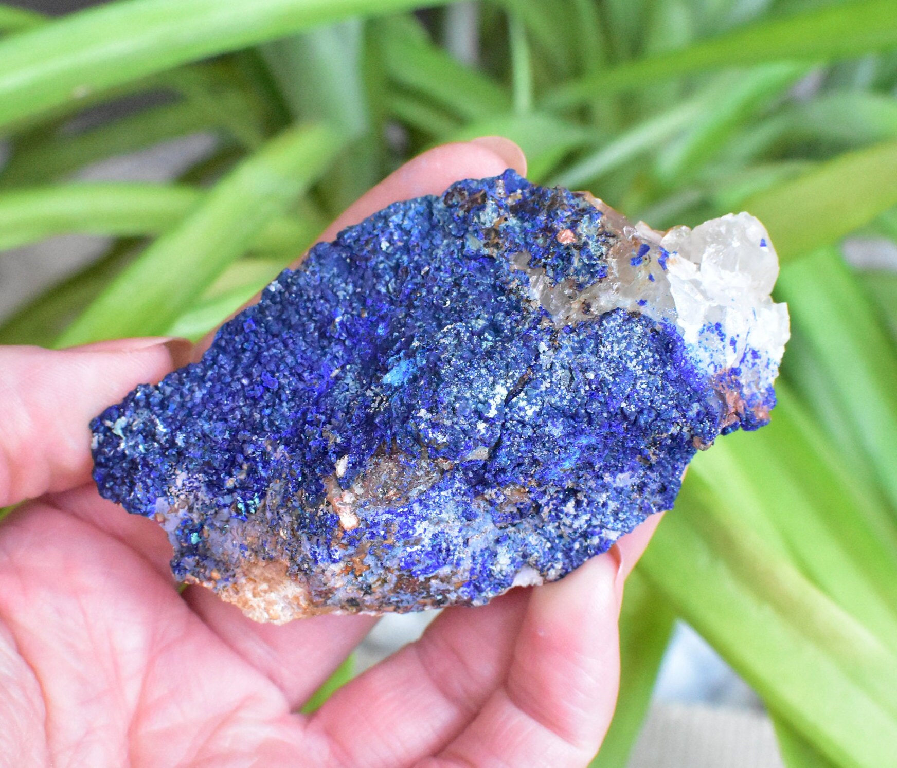 Azurite on Quartz matrix. Beautiful blue and brown mineral color ...