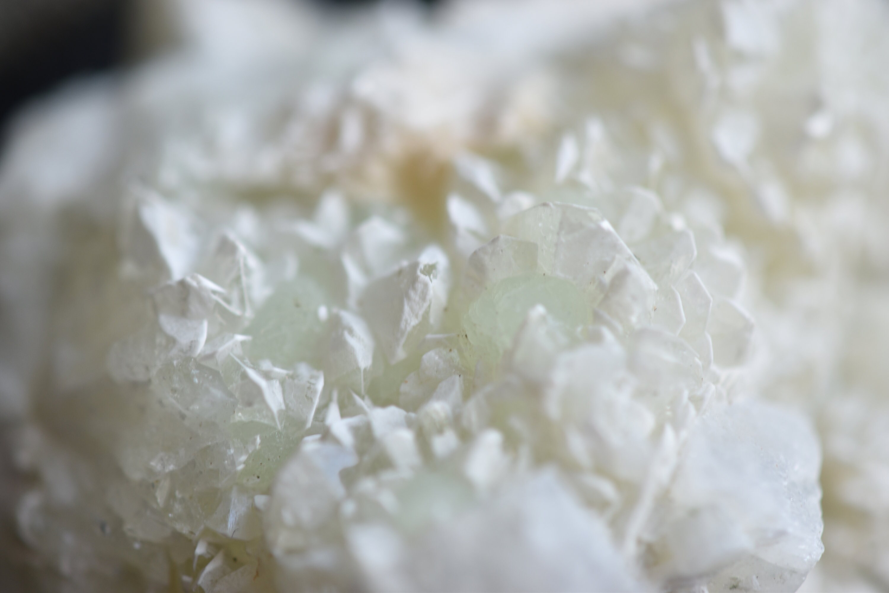 Datolite, prehnite, pectolite, apophyllite, and laumontite, pseudomorph ...