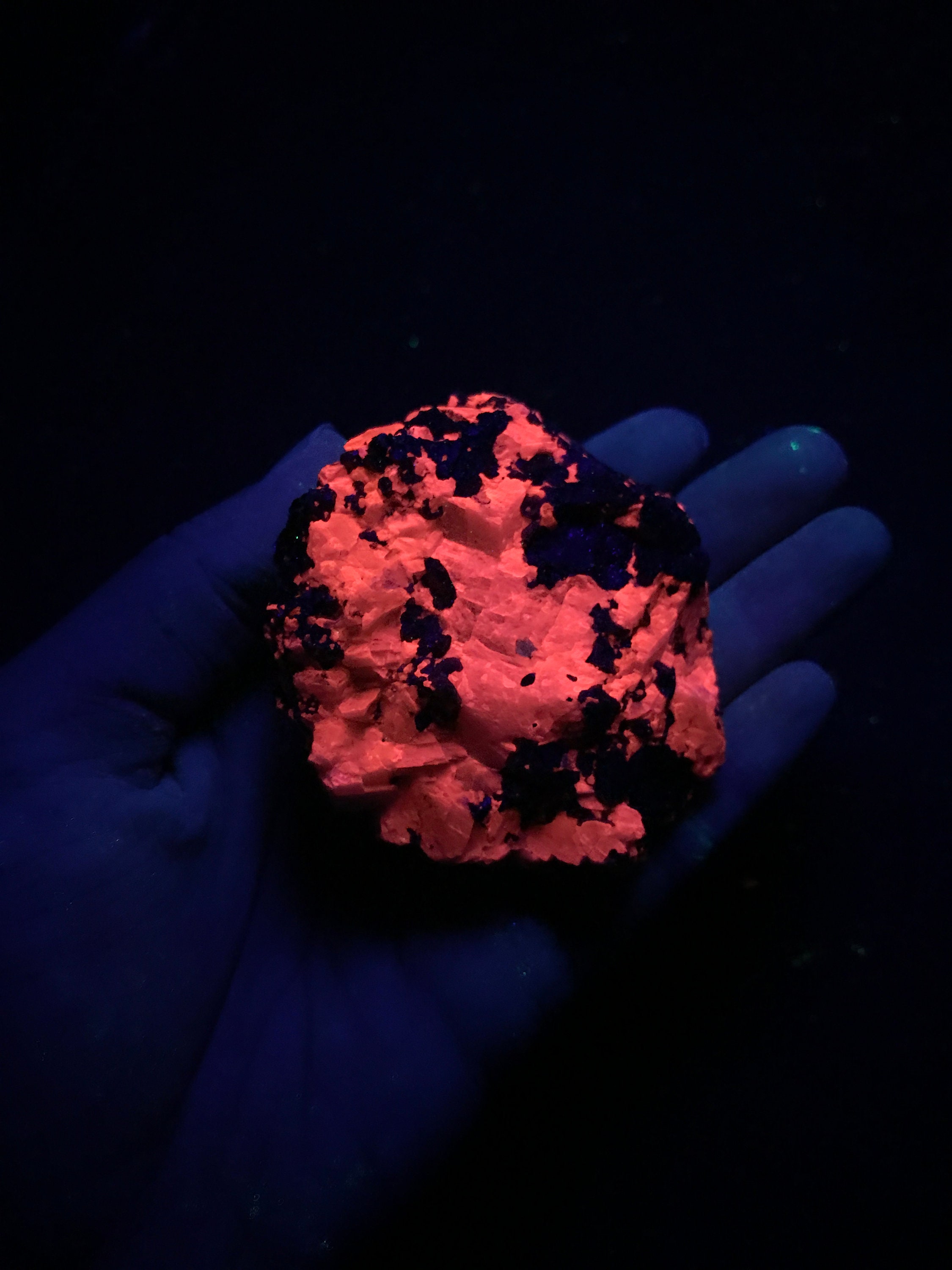 Fluorescent Calcite on franklinite, garnet, hendricksite, spec of ...