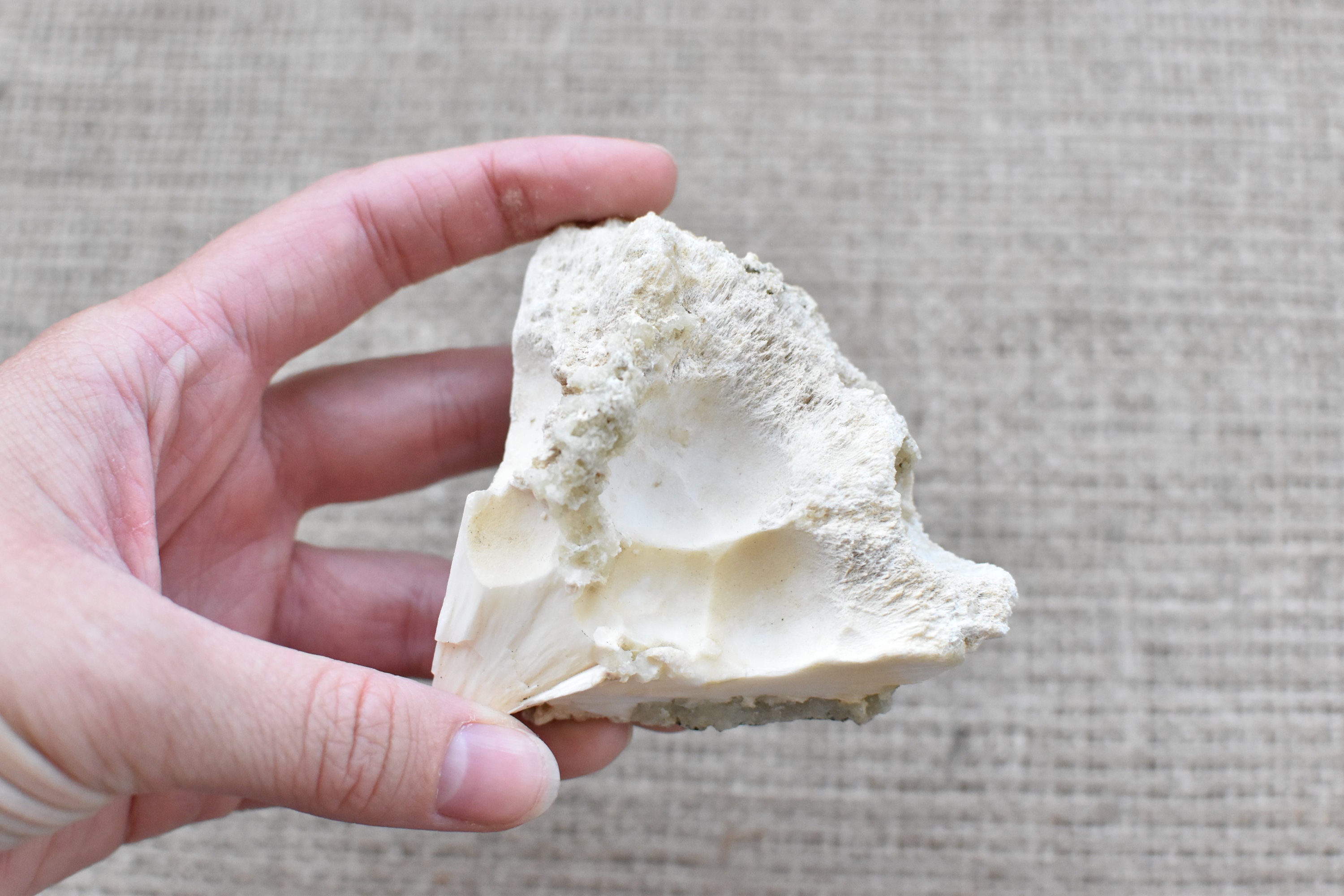 Large pectolite with prehnite specimen. Upper New Street Quarry. Large ...