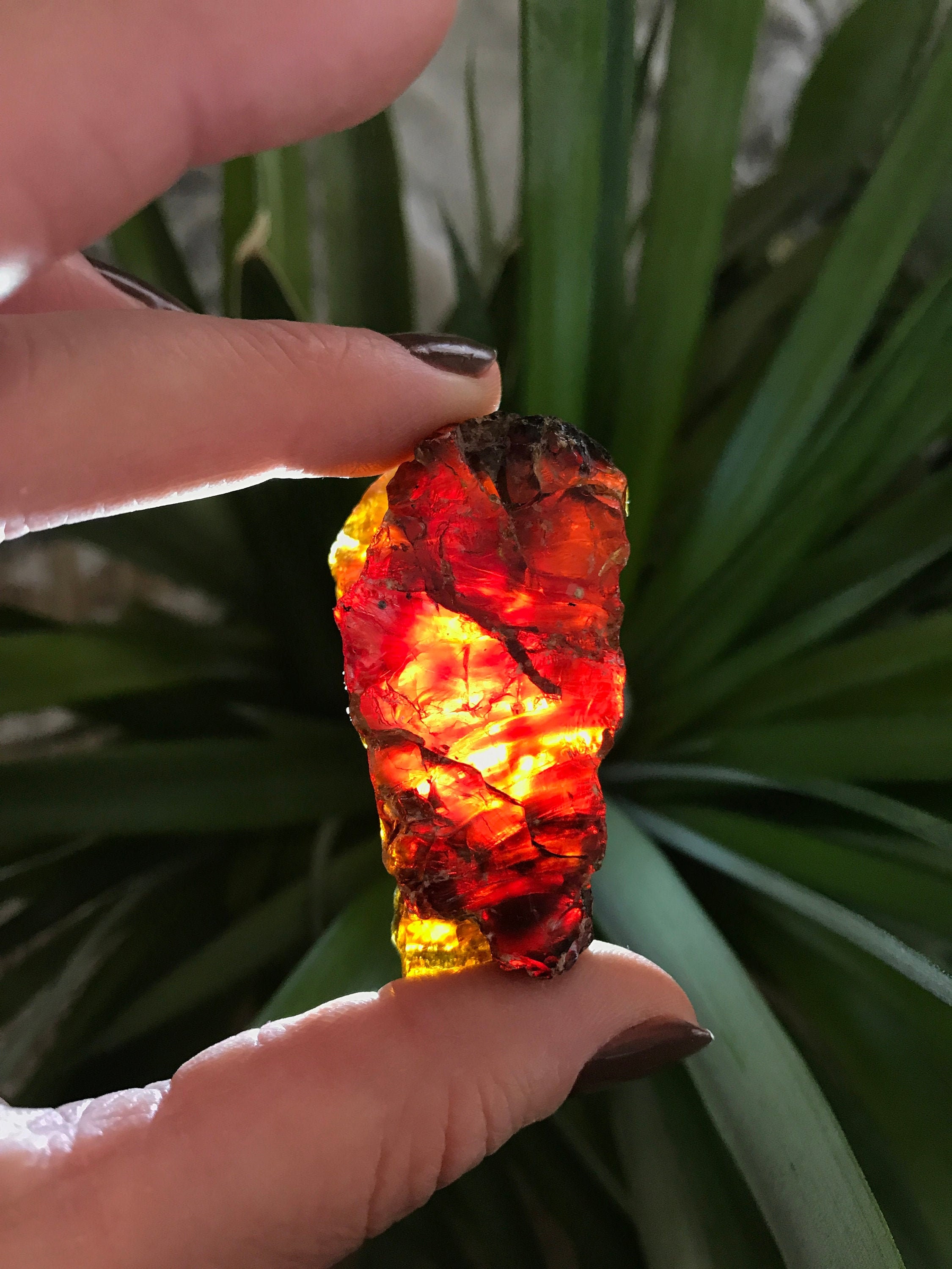 Fluorescent Amber. Deep red, orange and yellow translucent amber from ...