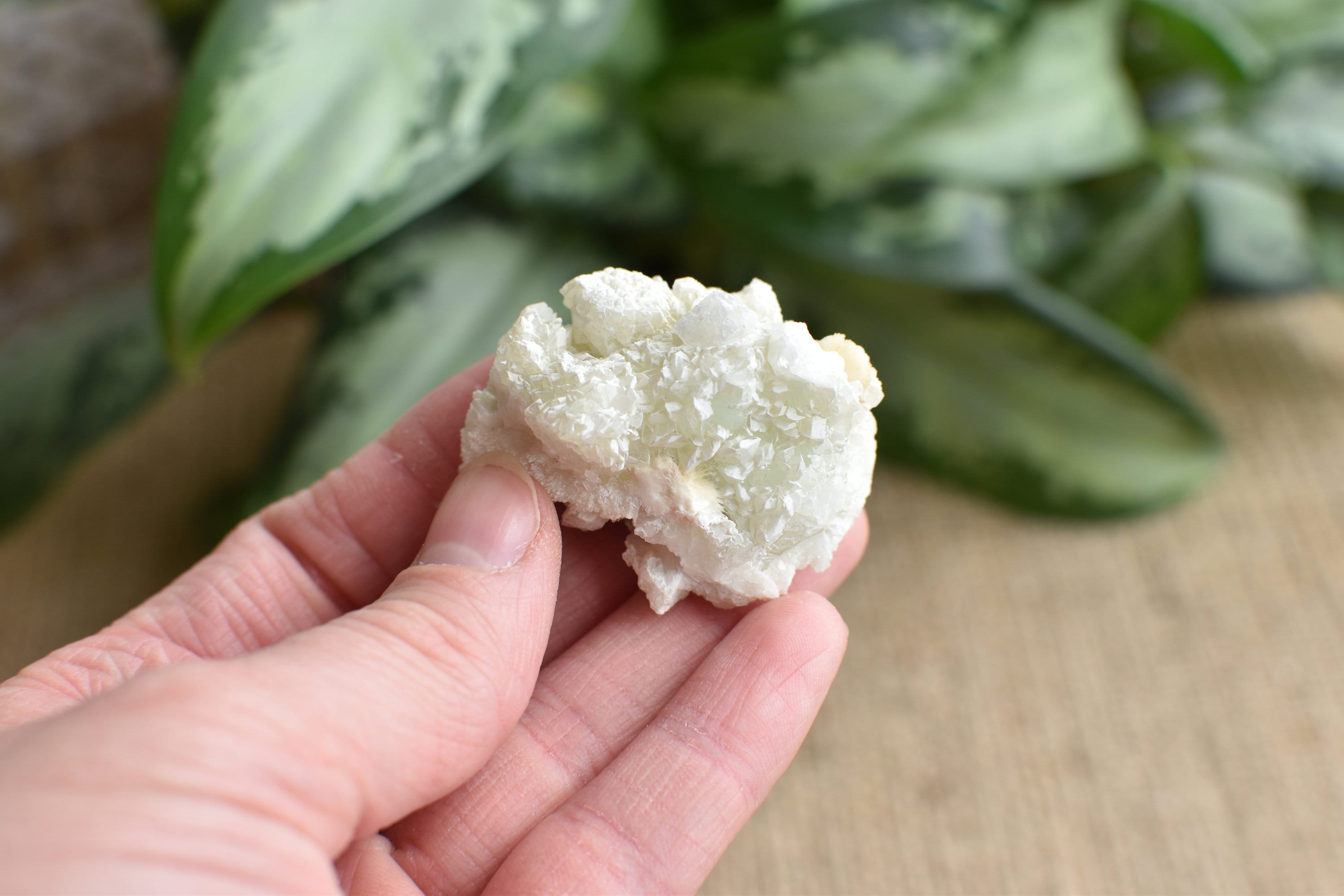 Datolite, prehnite, pectolite, apophyllite, and laumontite, pseudomorph ...