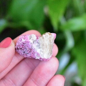Ultra RARE VLASOVITE and Eudialyte. Kipawa Region, Canada. Shortwave Sw ...