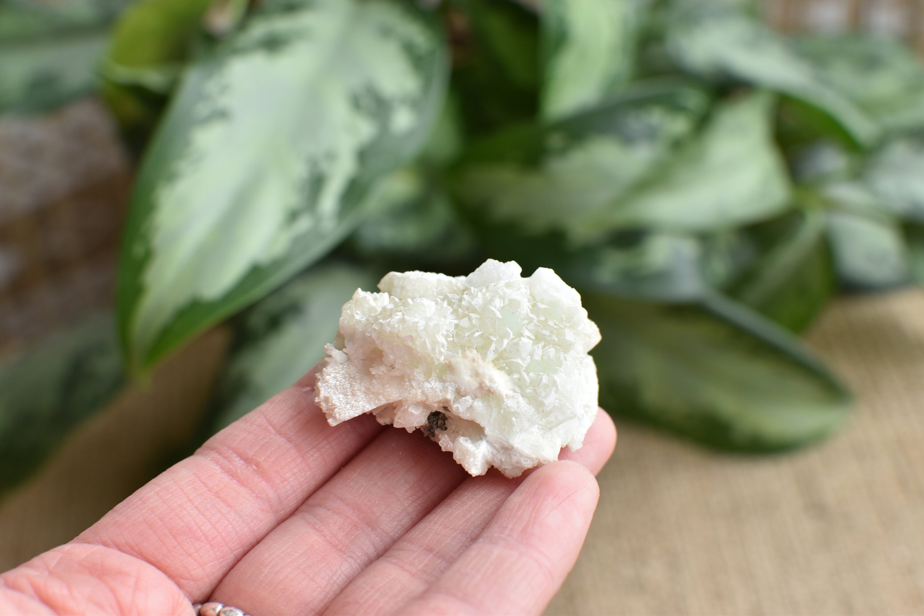 Datolite, prehnite, pectolite, apophyllite, and laumontite, pseudomorph ...