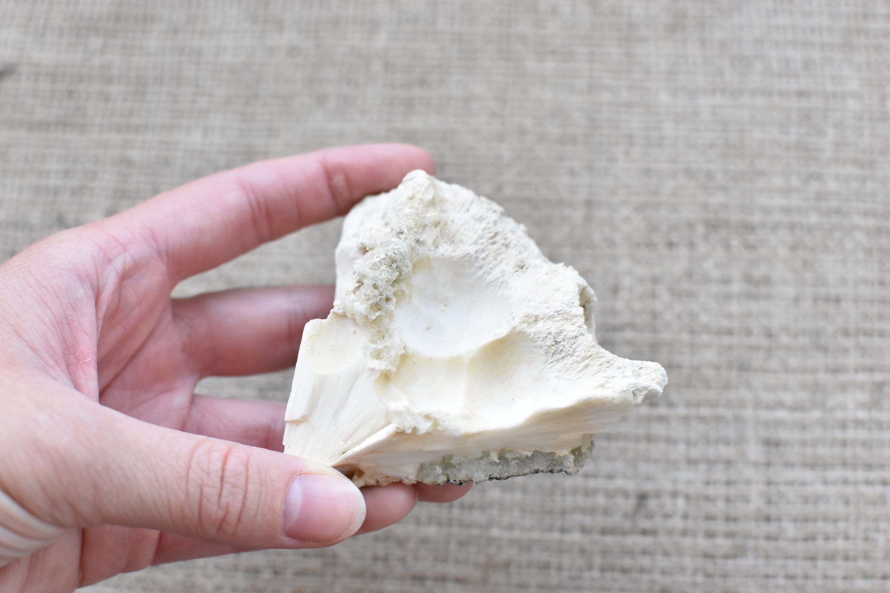 Large pectolite with prehnite specimen. Upper New Street Quarry. Large ...