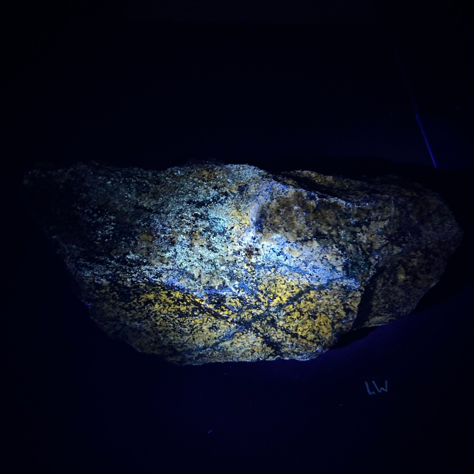 Large 9.8 Lb Fluorescent Wollastonite, Franklinite, Garnet, Pyrite ...