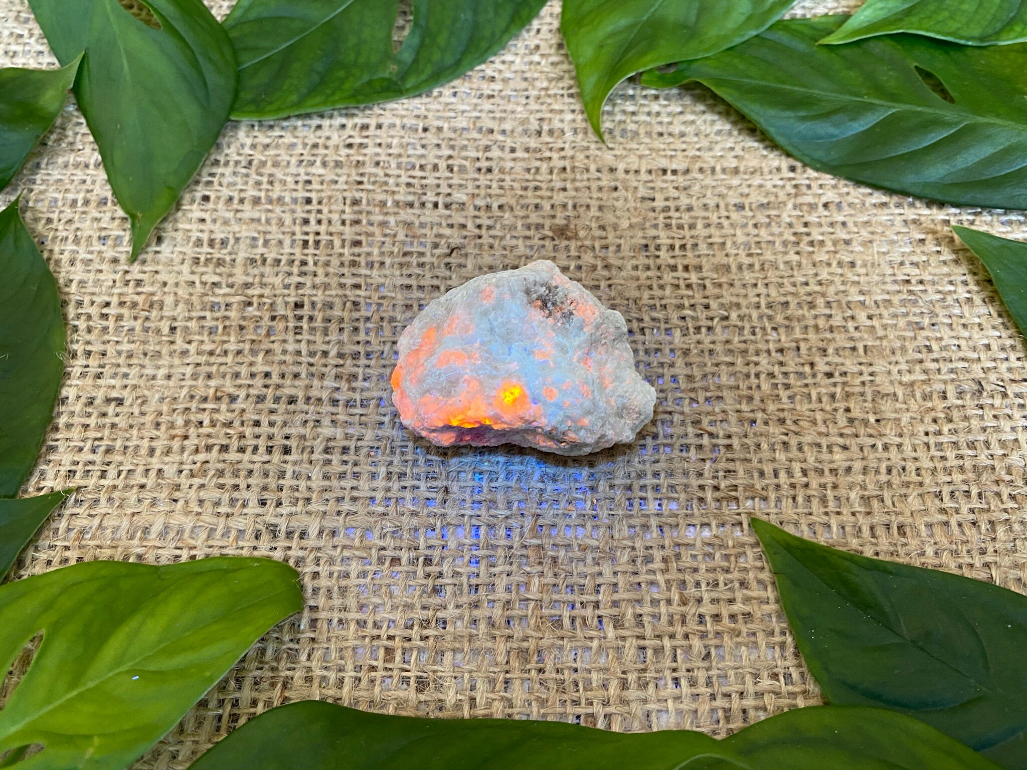 RARE Fluorescent HACKMANITE and Richterite.*Tenebrescent* Rough unique ...