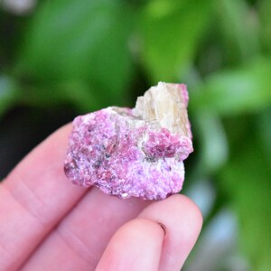 Ultra RARE VLASOVITE and Eudialyte. Kipawa Region, Canada. Shortwave Sw ...