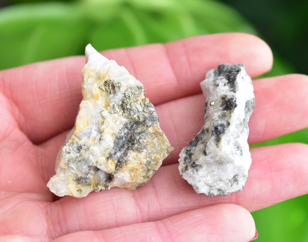 Real Gold Vs Fools Gold Sample. X2 Native Gold, Pyrite, and Quartz ...