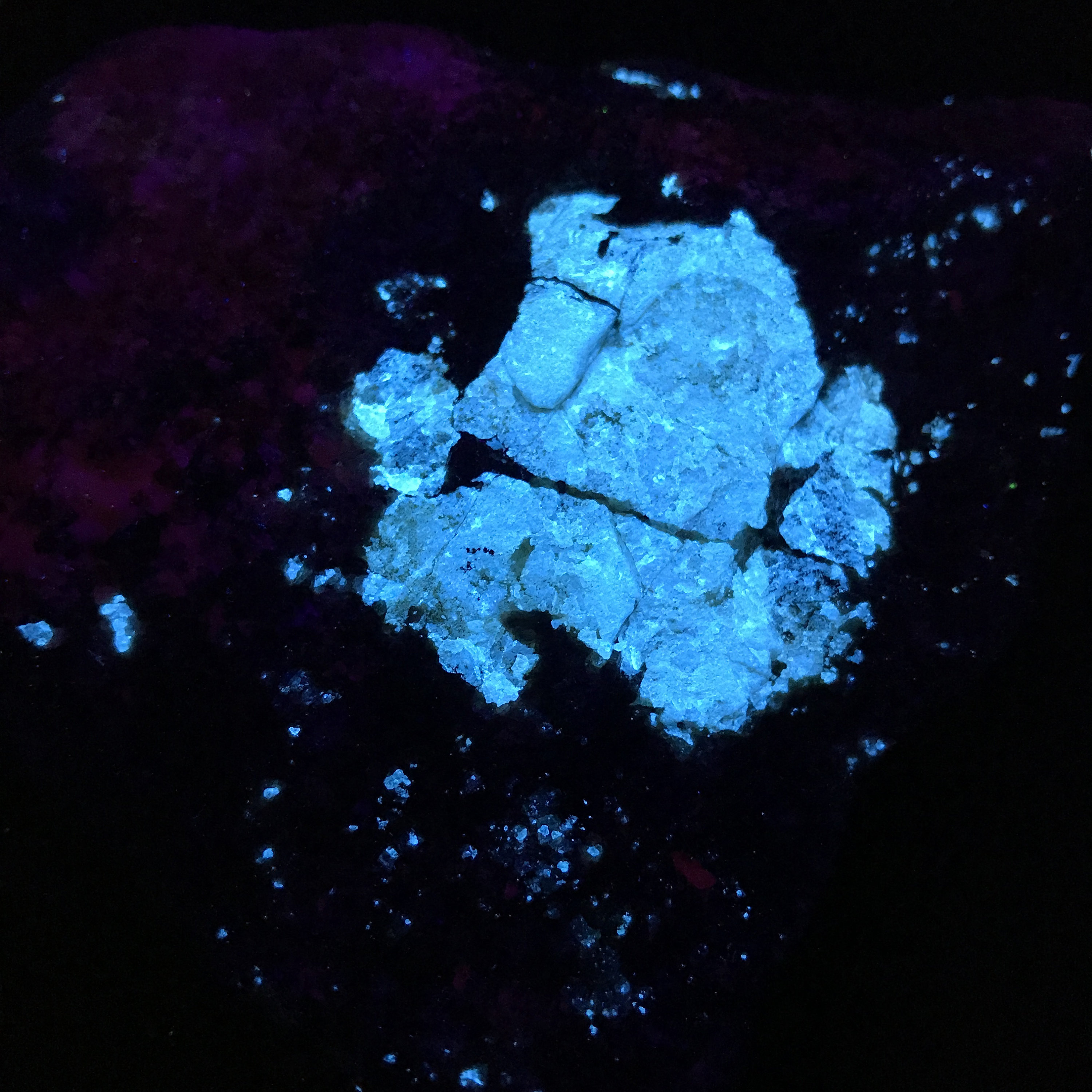 HUGE 2.9 lb SCHEELITE - 5.5 - XL Rare Fluorescent Mineral from ...