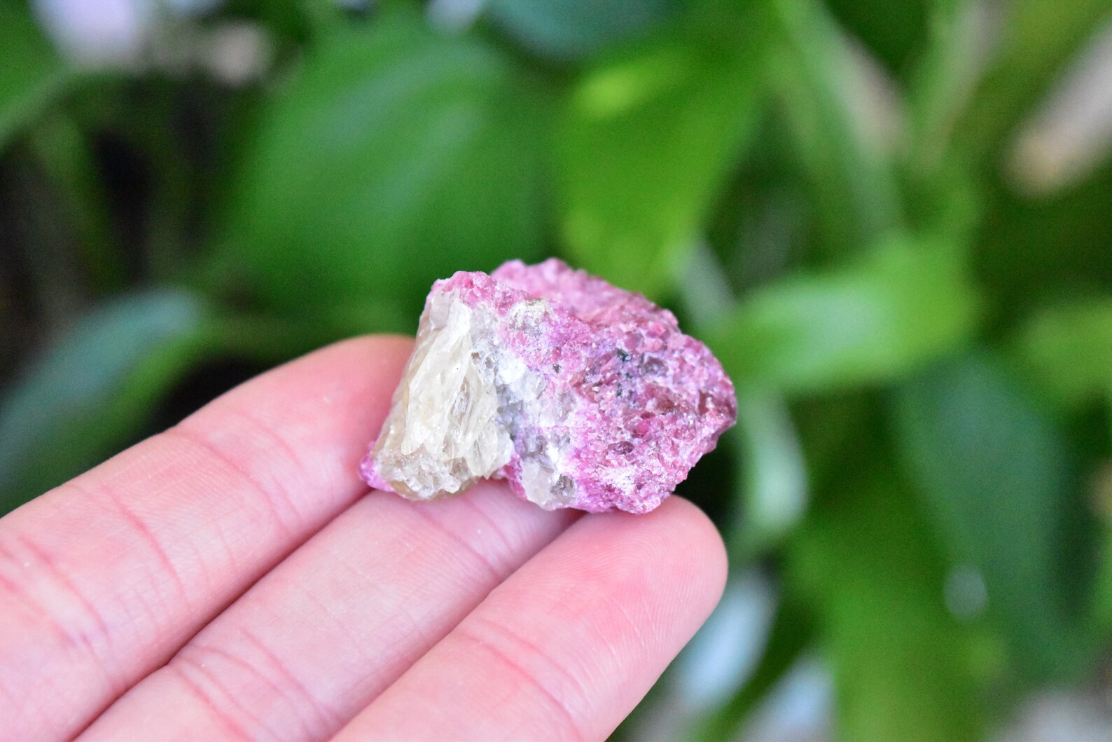 Ultra RARE VLASOVITE and Eudialyte. Kipawa Region, Canada. Shortwave Sw ...