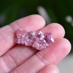 Very RARE Purple Gem VESUVIANITE IDOCRASE Crystal Cluster From Jeffrey ...