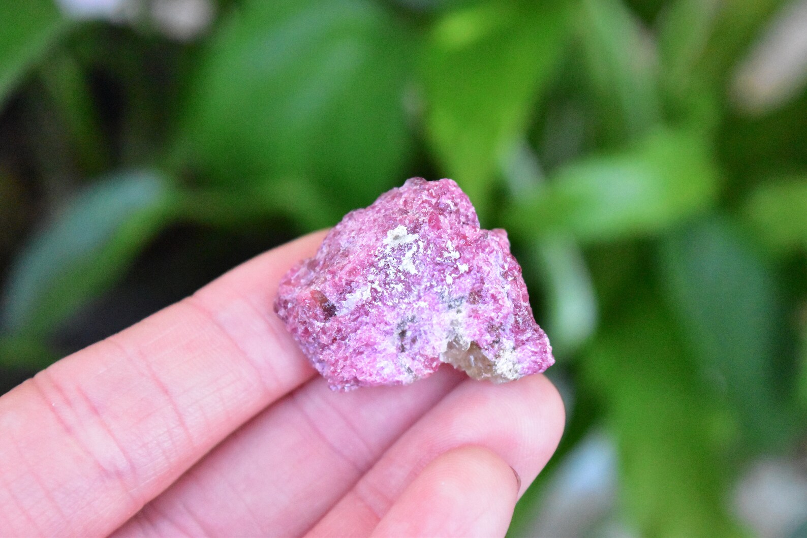 Ultra RARE VLASOVITE and Eudialyte. Kipawa Region, Canada. Shortwave Sw ...