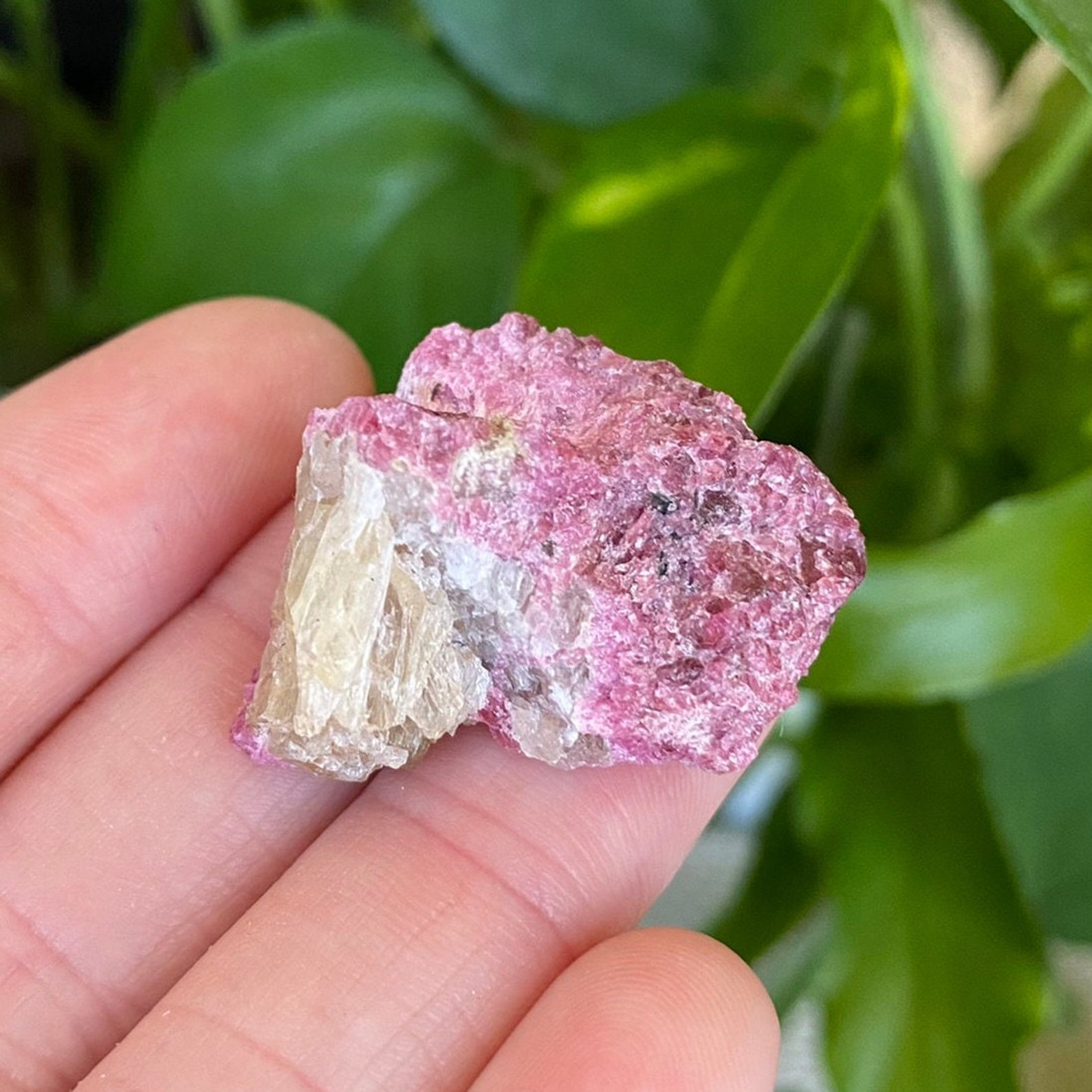 Ultra RARE VLASOVITE and Eudialyte. Kipawa Region, Canada. Shortwave Sw ...