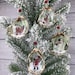Set of 6 Mini Cape Cod Themed Oyster Shell Ornaments With Gold Accents ...