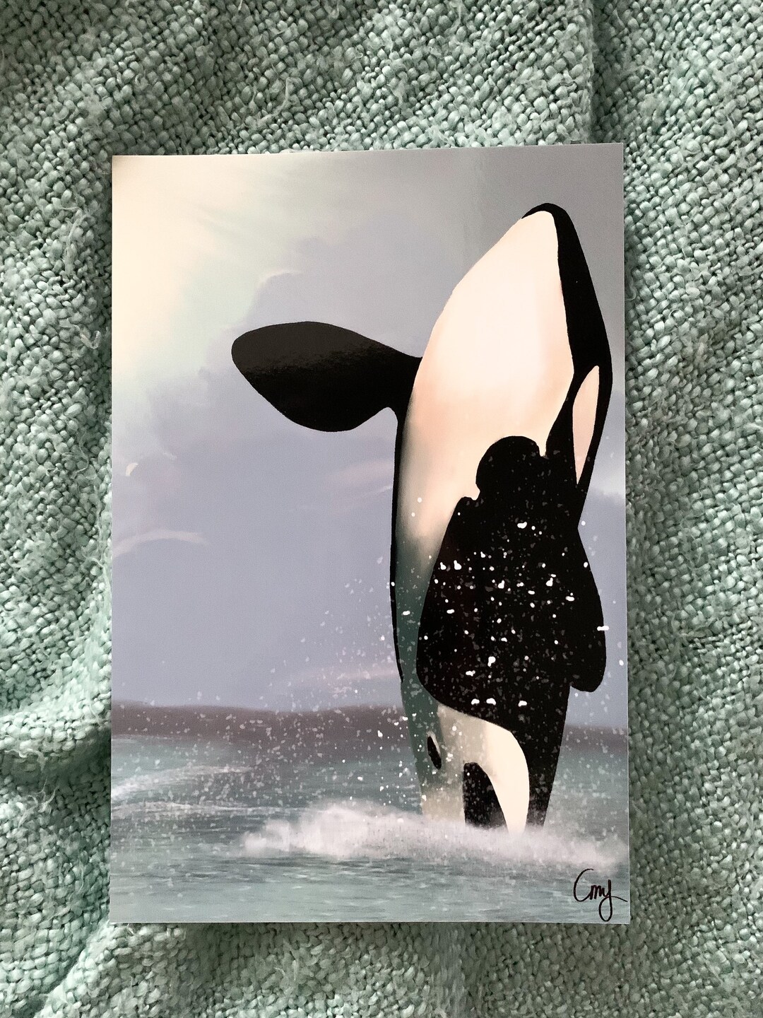 Orca Whale Breaching-print - Etsy