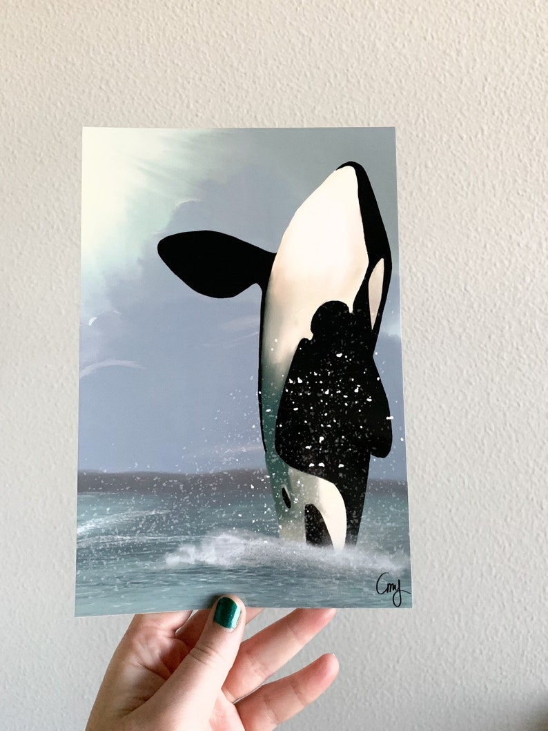 Orca Whale Breaching-print - Etsy