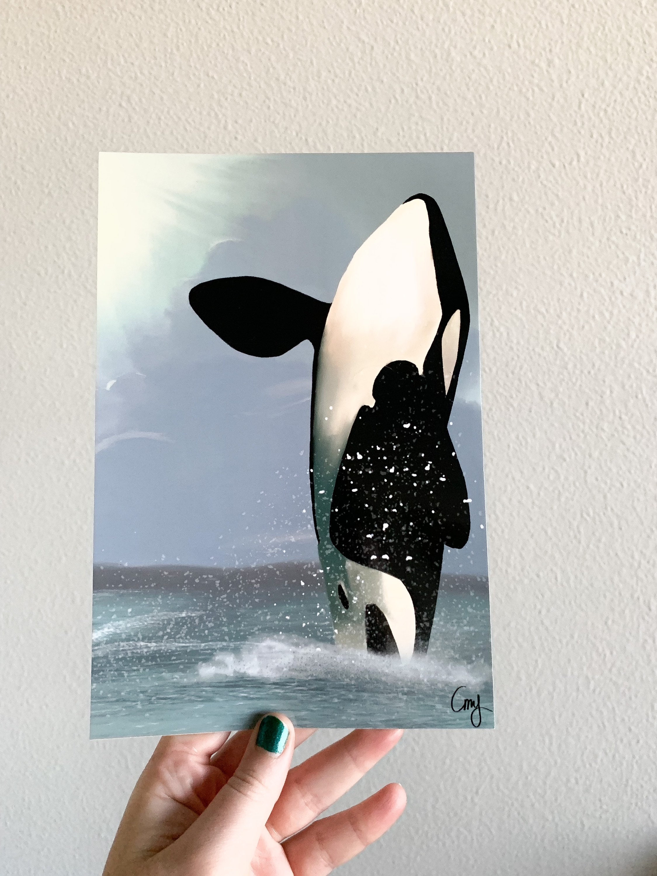 Orca Whale Breaching-print - Etsy