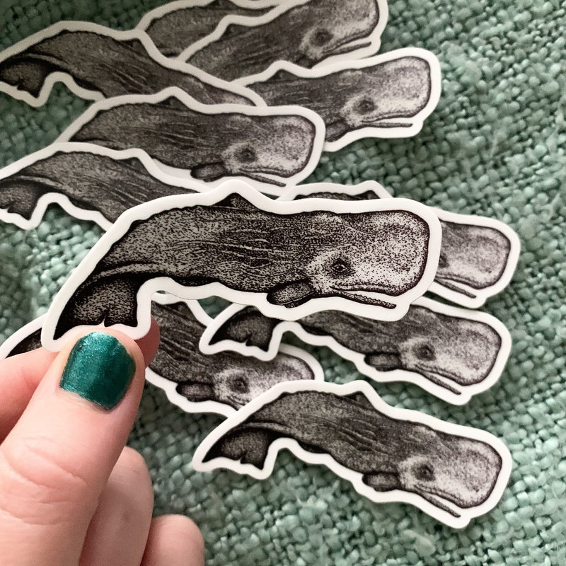 Sperm Whale Stickers - Etsy