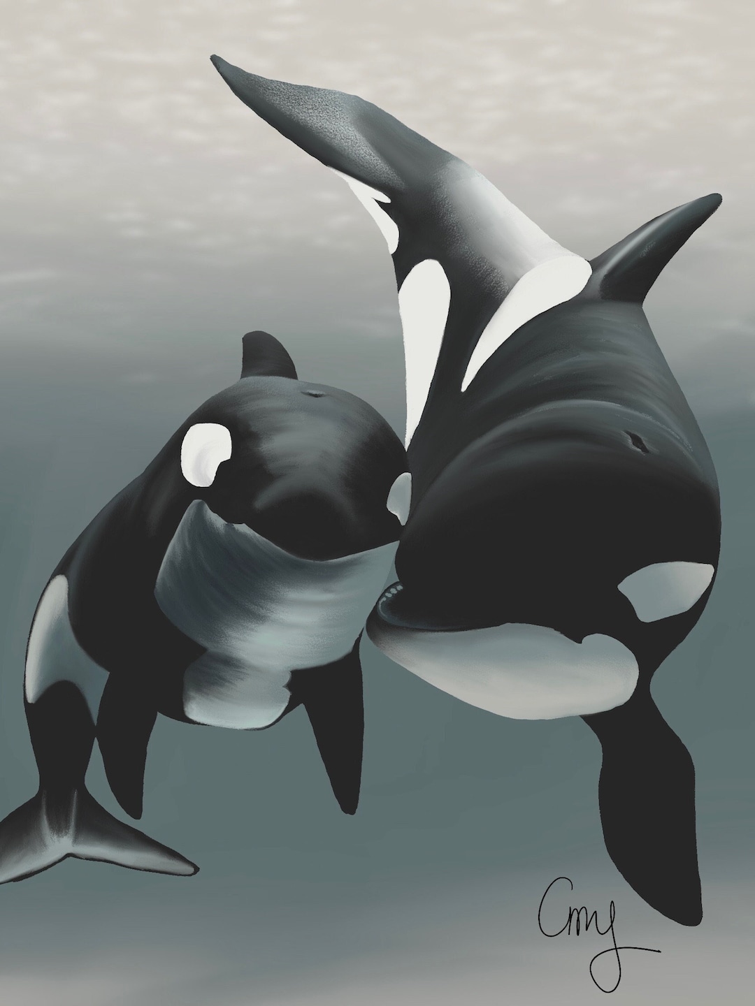 Orca Whale and Baby-digital Download - Etsy
