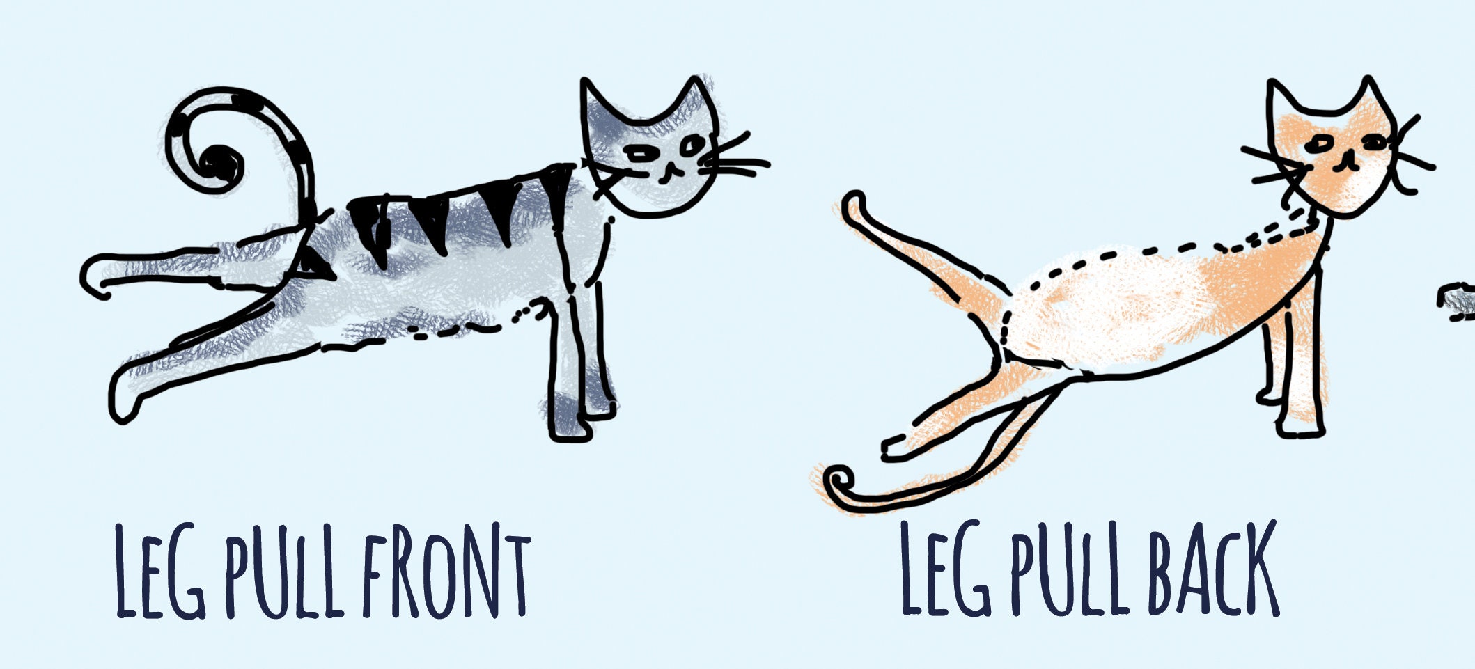 Pilates Cat Poster - Catilates - Etsy