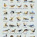Pilates Poster - Etsy