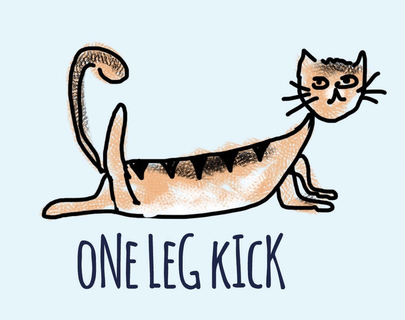 Pilates Cat Poster - Catilates - Etsy