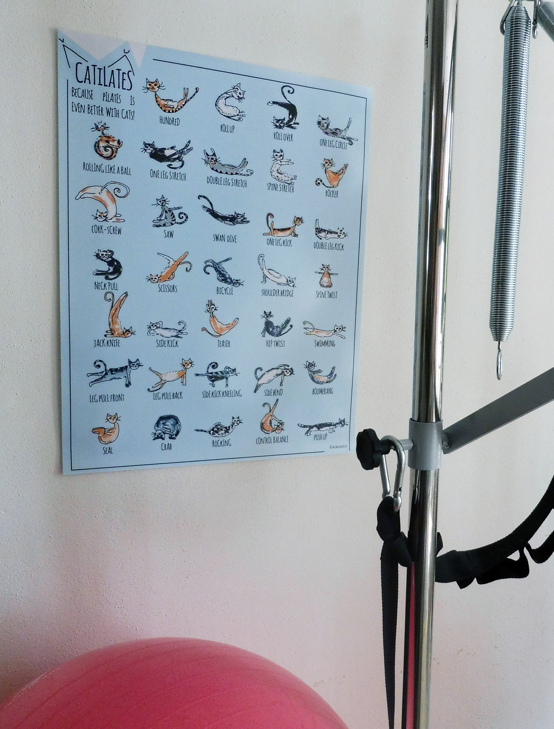 Pilates Cat Poster - Catilates - Etsy