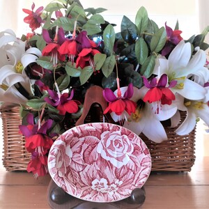 Vintage Burleigh Soap Dish, Vintage Burleigh Victorian Chintz Soap Dish ...