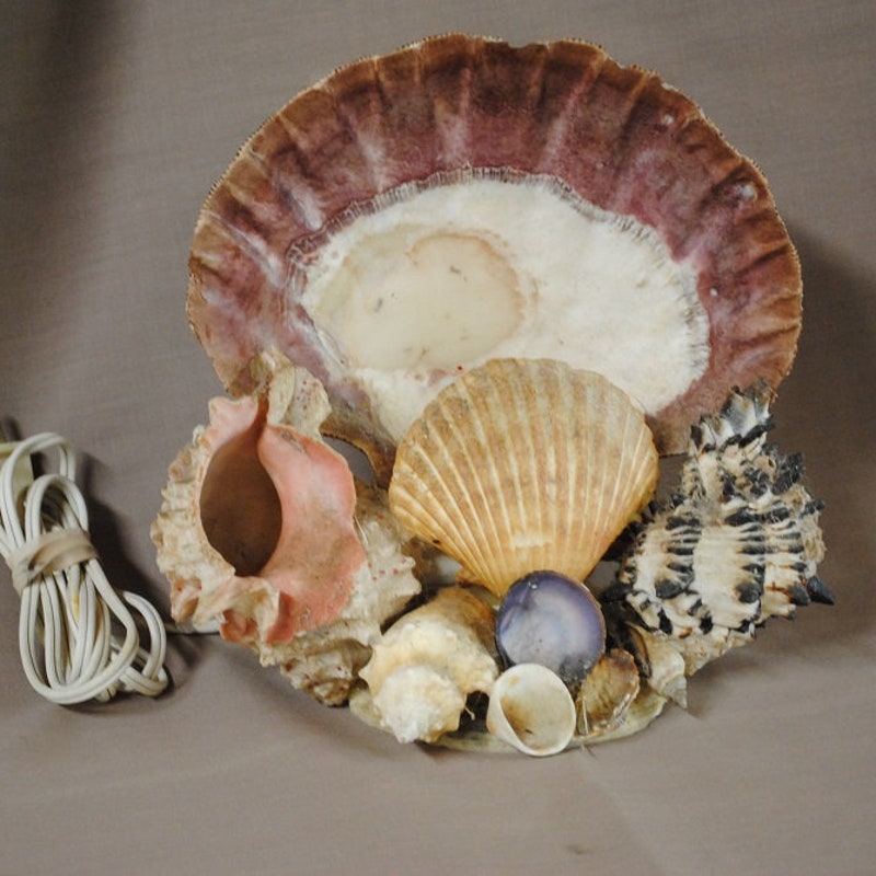 Shell Lamp - Etsy