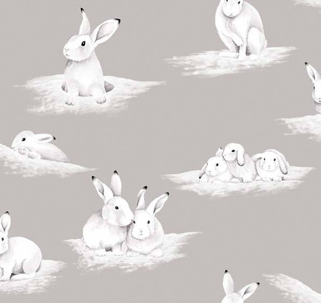 Fabric Lapinos Width 280 Cm / 140 Cm Maison Thévenon - Etsy