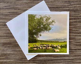 Mission Ranch - Etsy