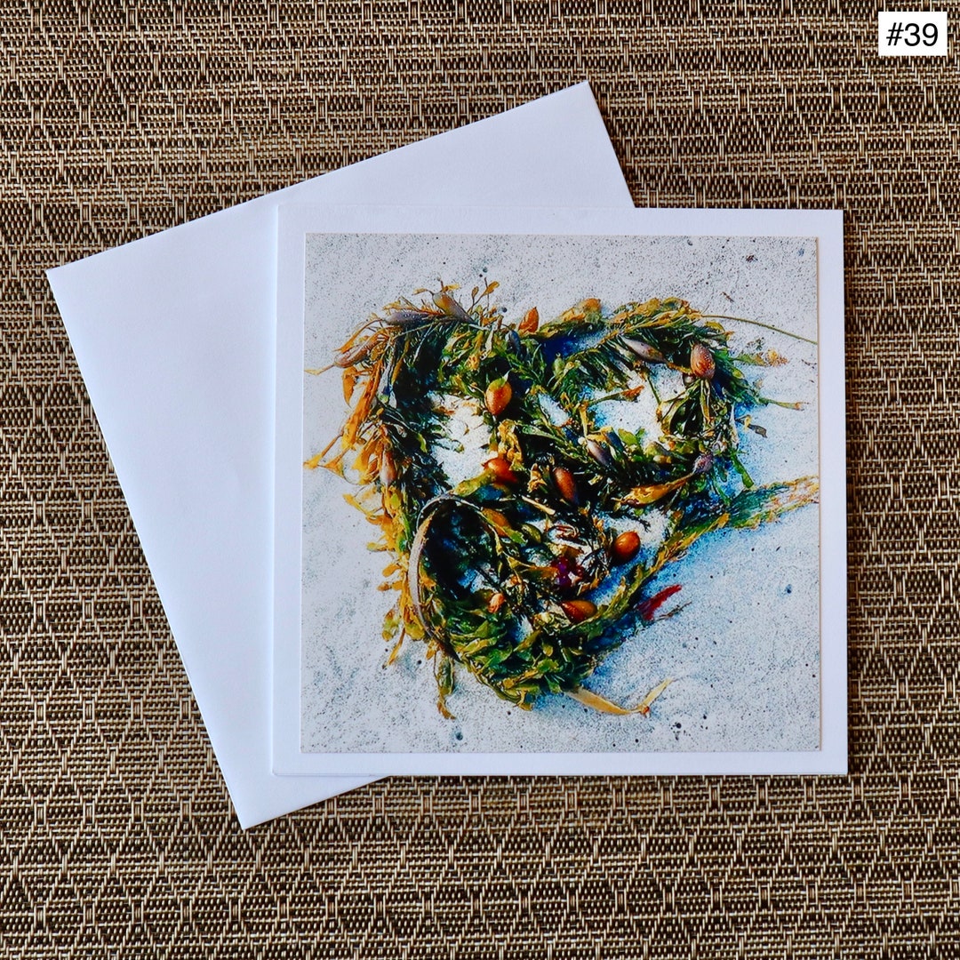 Kelp Heart Found, Carmel by the Sea - Etsy
