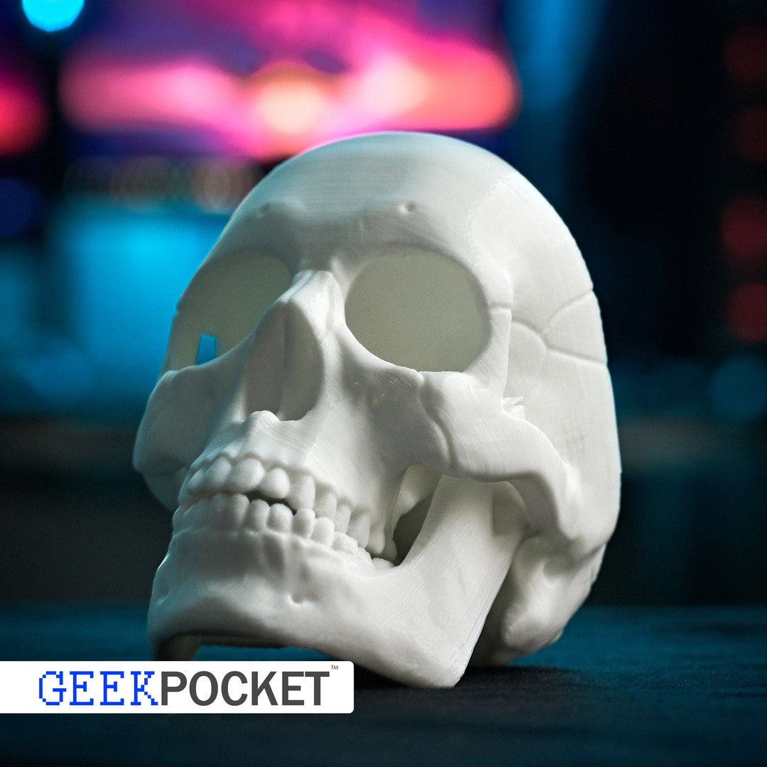 Human Skull - 3D Printed Plastic Human Skull Decoration, Toy - Etsy