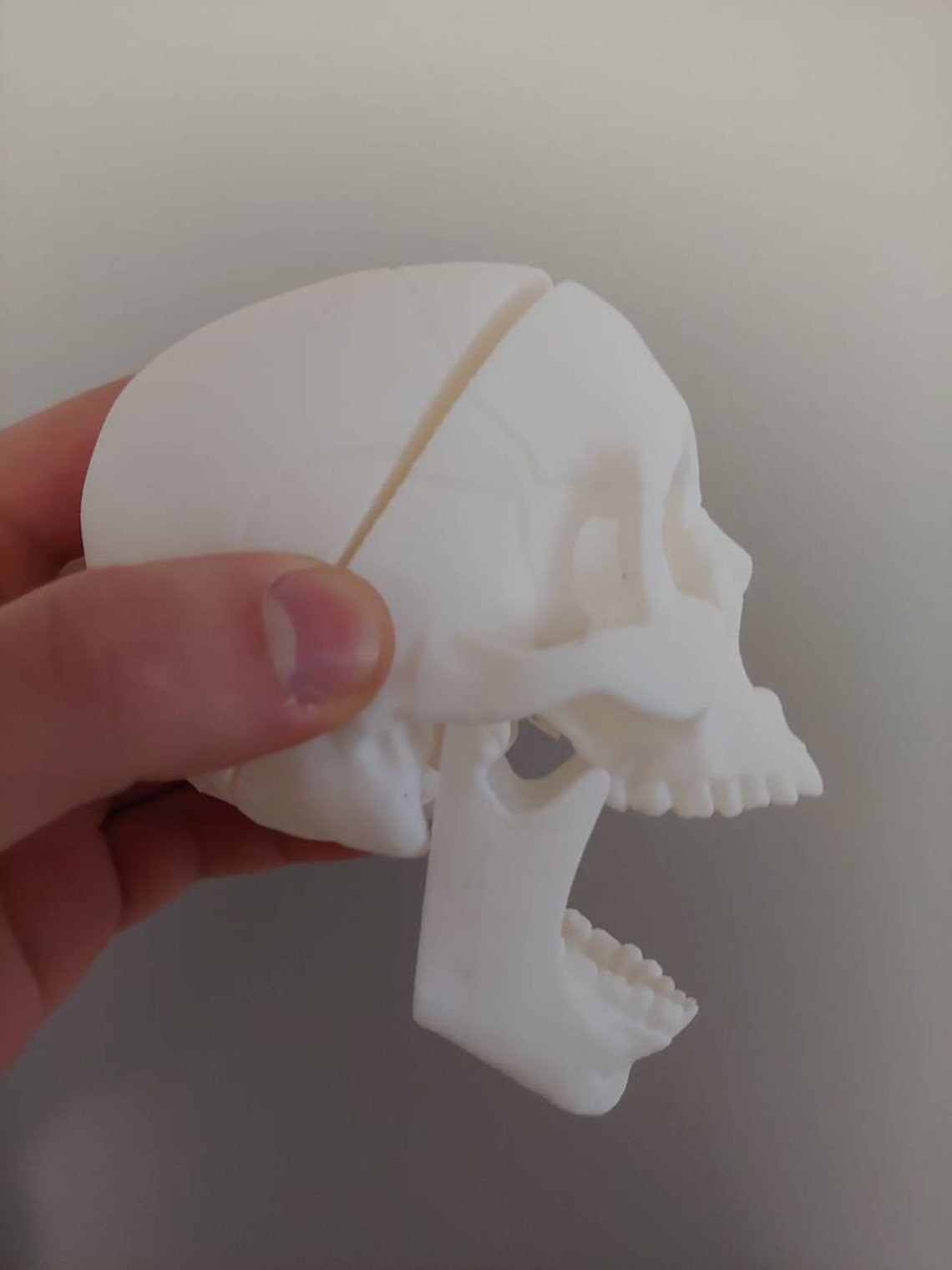 Human Skull - 3D Printed Plastic Human Skull Decoration, Toy - Etsy