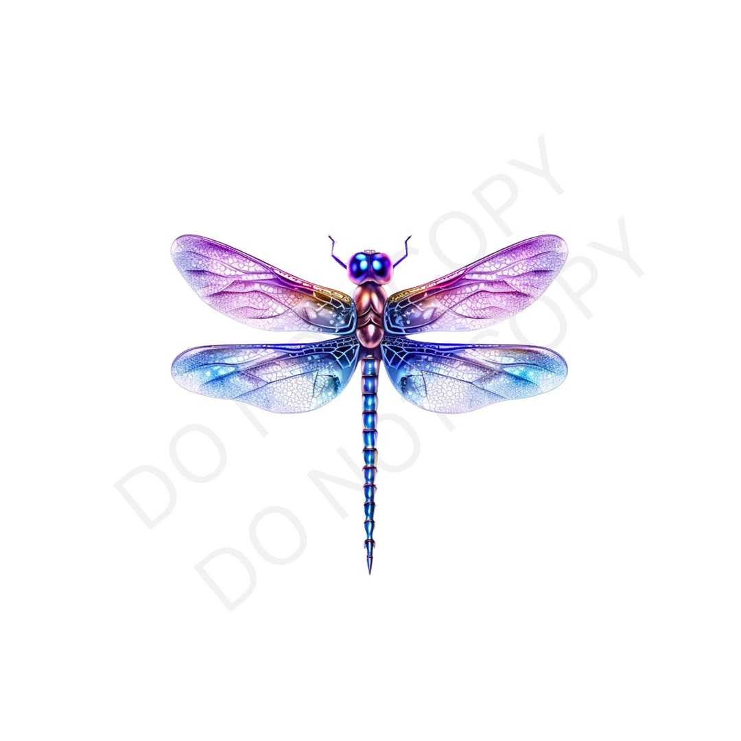 Dragonfly PNG Transparent Clipart Cartoon Design,printable Sublimation ...