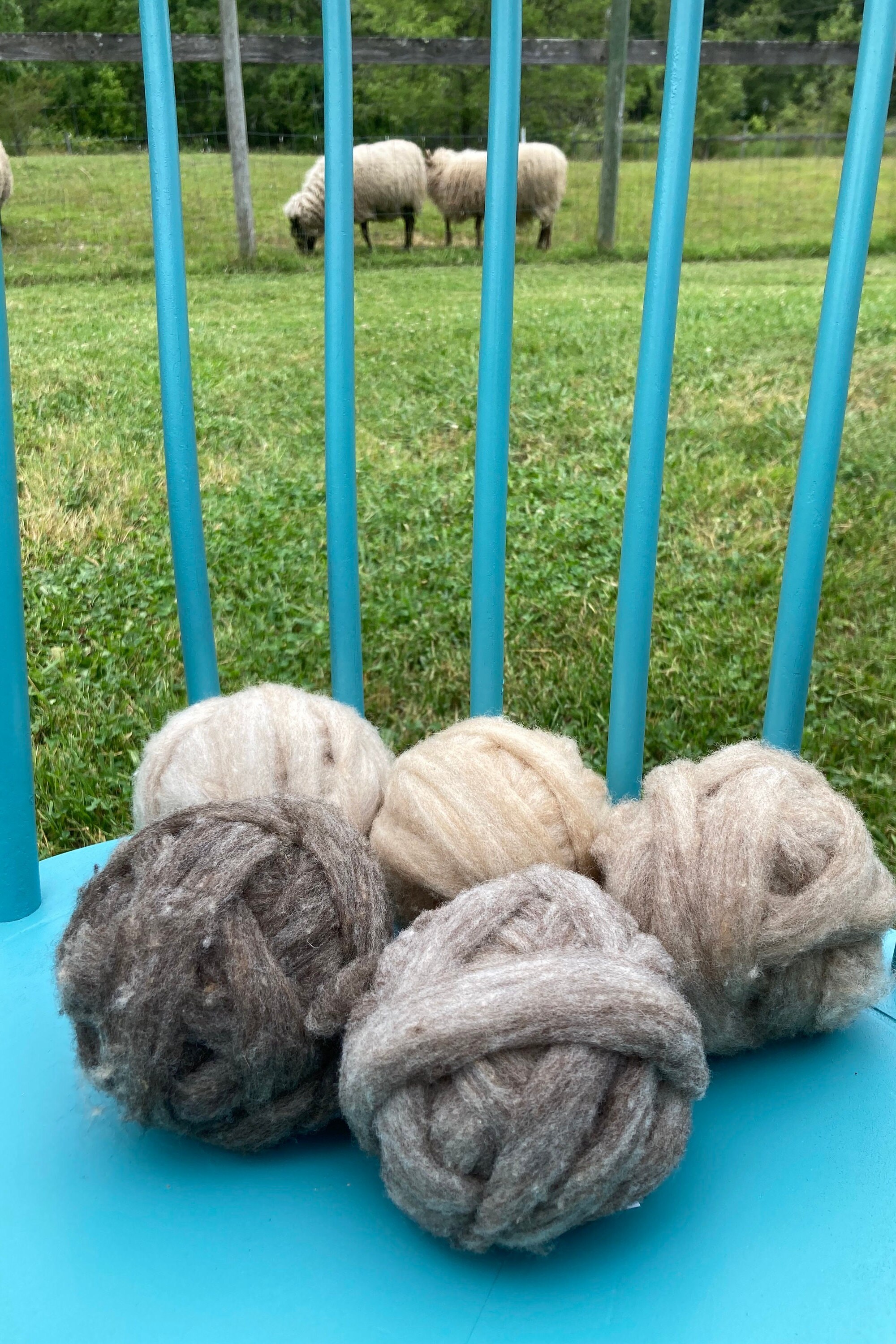 Wool Roving Natural Colors, Undyed Wool, Sheep Wool, by the Ounce - Etsy