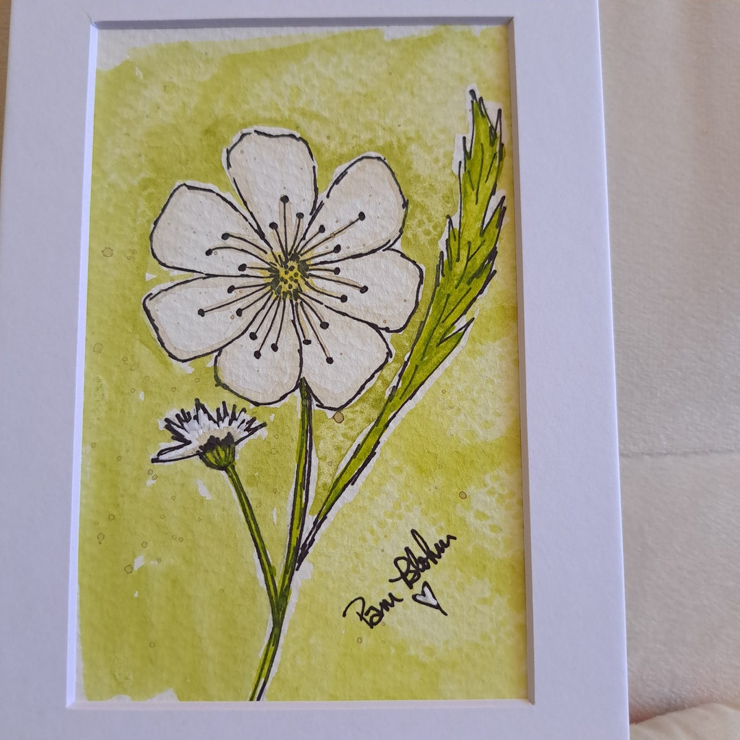 Daisy Original "new Beginnings" Daisy Flower Watercolor and Ink ...