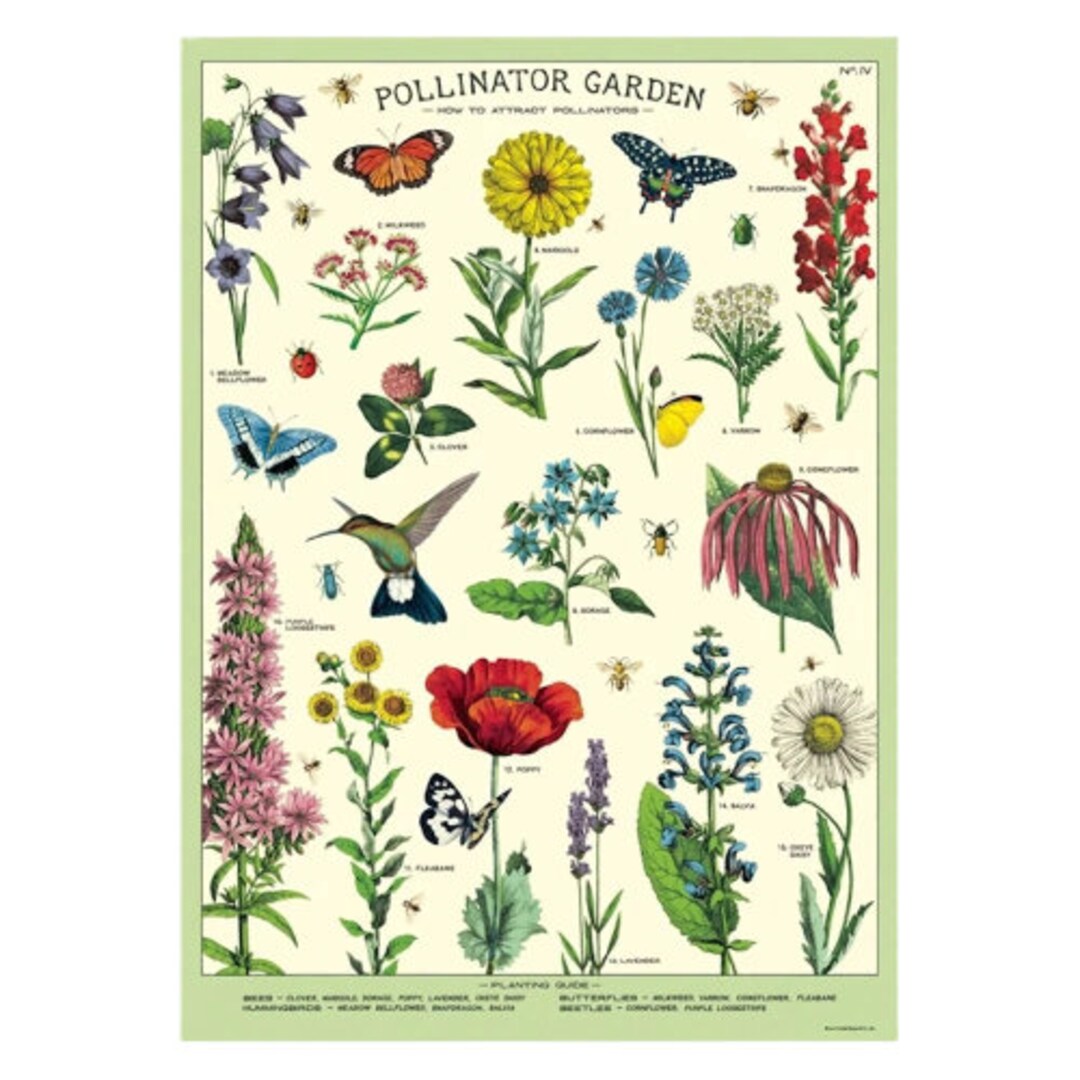 Poster Vintage Garden Poster Paper for Decoupage 50 X 70cm Vintage Wall ...